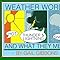 Weather Words and What They Mean: Gail Gibbons: 8601400736548: Amazon ...