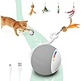 Amazon.com : Automatic Cat Toys,4 Attachments Interactive Cat Toys for ...