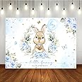 Amazon.com : Lofaris Easter Rabbit Boy Baby Shower Backdrop Spring A Little Bunny is On The Way ...