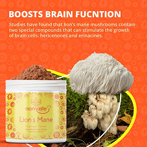 Namaste Supplements Lion's Mane Nootropic Mushroom Powder - Improves Immunity, Creativity ...
