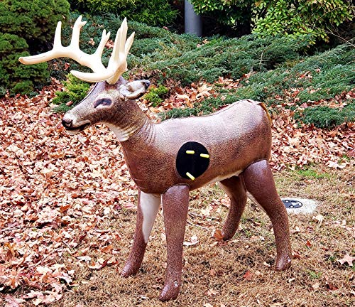 Nxt Generation Jumbo Deluxe 58" Life Sized Painted 3D - Want It All