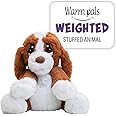 Amazon.com: Warm Pals - Bashful Bunny - 1.5lbs - Cozy Microwavable ...