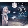 The Big Big Sea: Waddell, Martin, Eachus, Jennifer: 9781564020666 ...