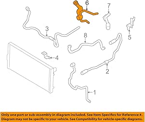 Amazon.com: Genuine BMW F01 F02 Sedan Radiator Coolant Hose OEM ...