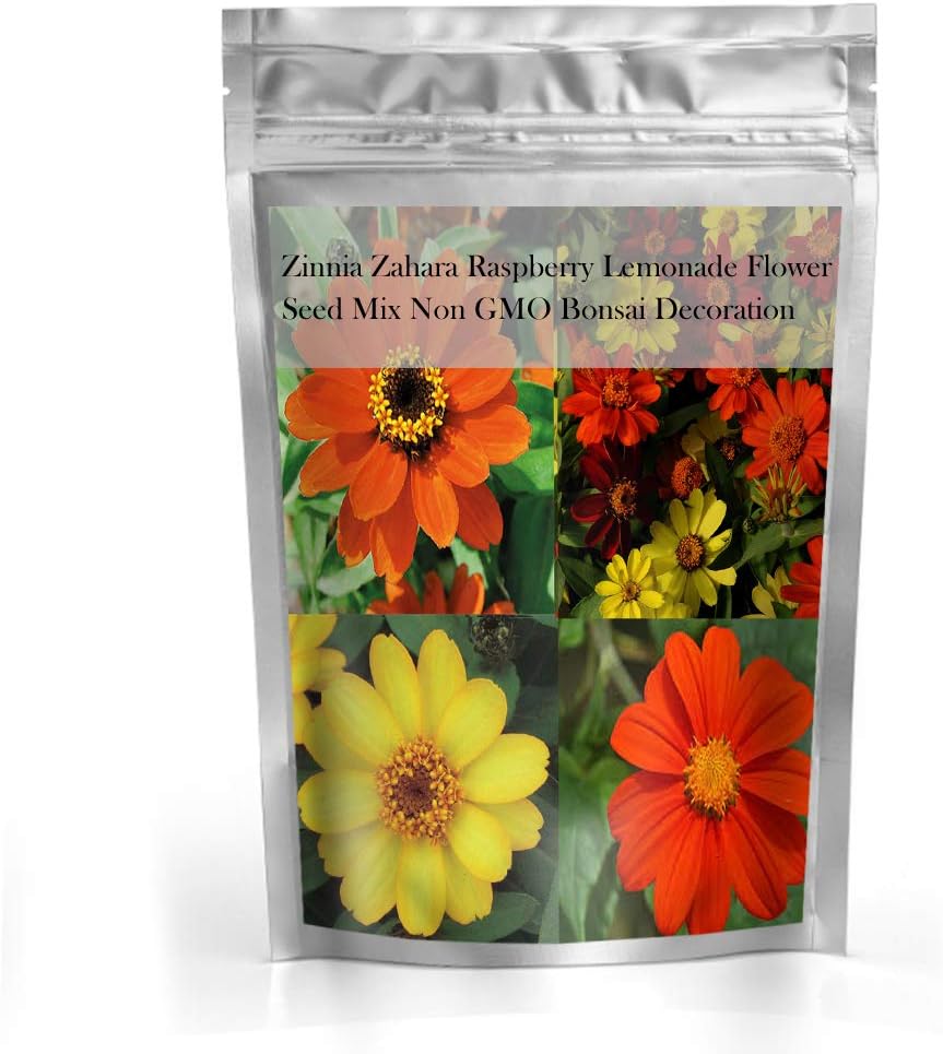 Zinnia Zahara Raspberry Lemonade Flower Seed Mix Non GMO Bonsai ...