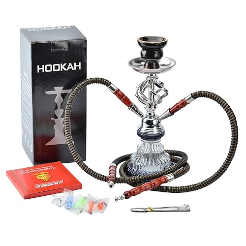 Hookah Set 11.4" Premium 2 Hose Deluxe Hookah Portable Design Modern ...
