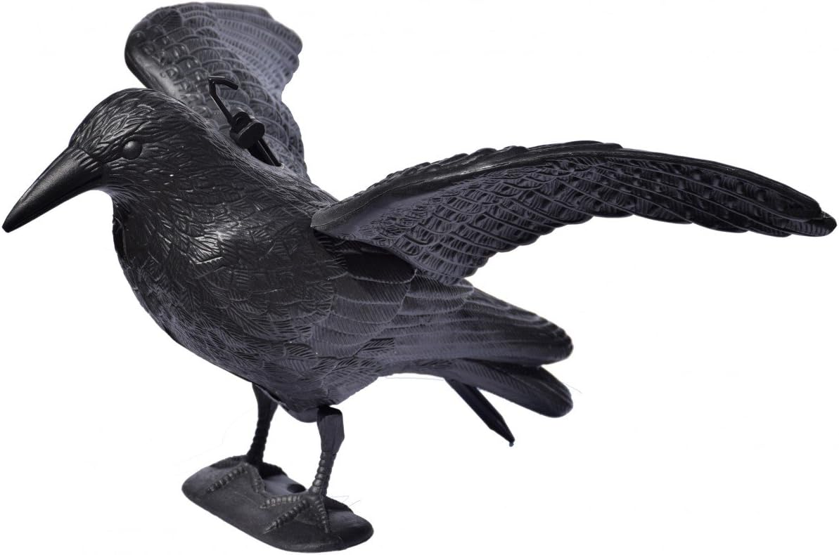 Plastic crow to the pigeon defence and gull defence: Amazon.co.uk ...