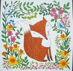 The National Trust: Colouring Book of Cards and Envelopes: Nature ...