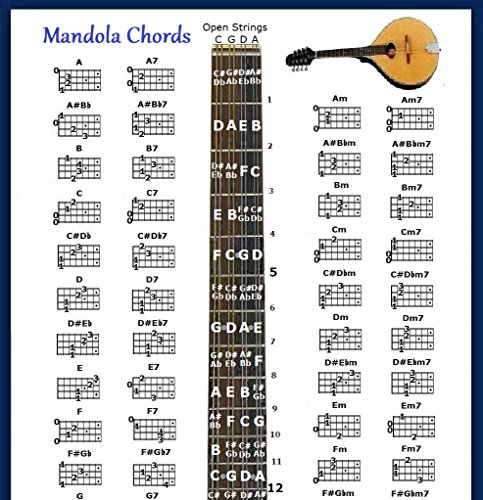 Compare Price: mandolin chord chart poster - on StatementsLtd.com
