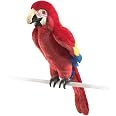 Amazon.com: Folkmanis Scarlet Macaw Hand Puppet, Red, Blue, Yellow ...