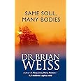 Amazon.com: Same Soul, Many Bodies: 9780749925413: Weiss, Brian L.: Books