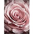 Amazon.com: Pink Rose Diamond Painting Kit - pigpigboss 5D Full Diamond ...