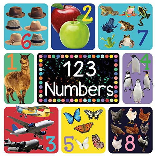 123 Numbers-An Early Learning Photo Book: Flowerpot Press, Flowerpot ...
