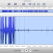 Spy Voice Recorder-8GB USB Digital Audio Voice: Amazon.co.uk: Electronics