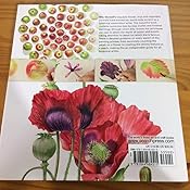 Billy Showell's Botanical Painting in Watercolour: Billy Showell ...