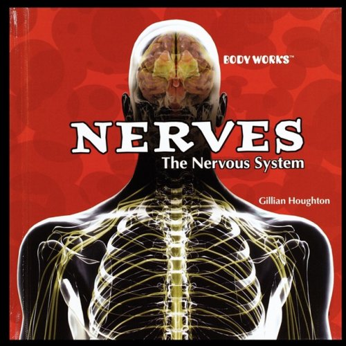 Nerves: The Nervous System: Houghton, Gillian: 9781435838246: Amazon ...