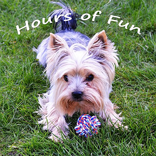 Puppy Chew Teething Rope Toys Set Mini Dental Pack For Small to Medium ...