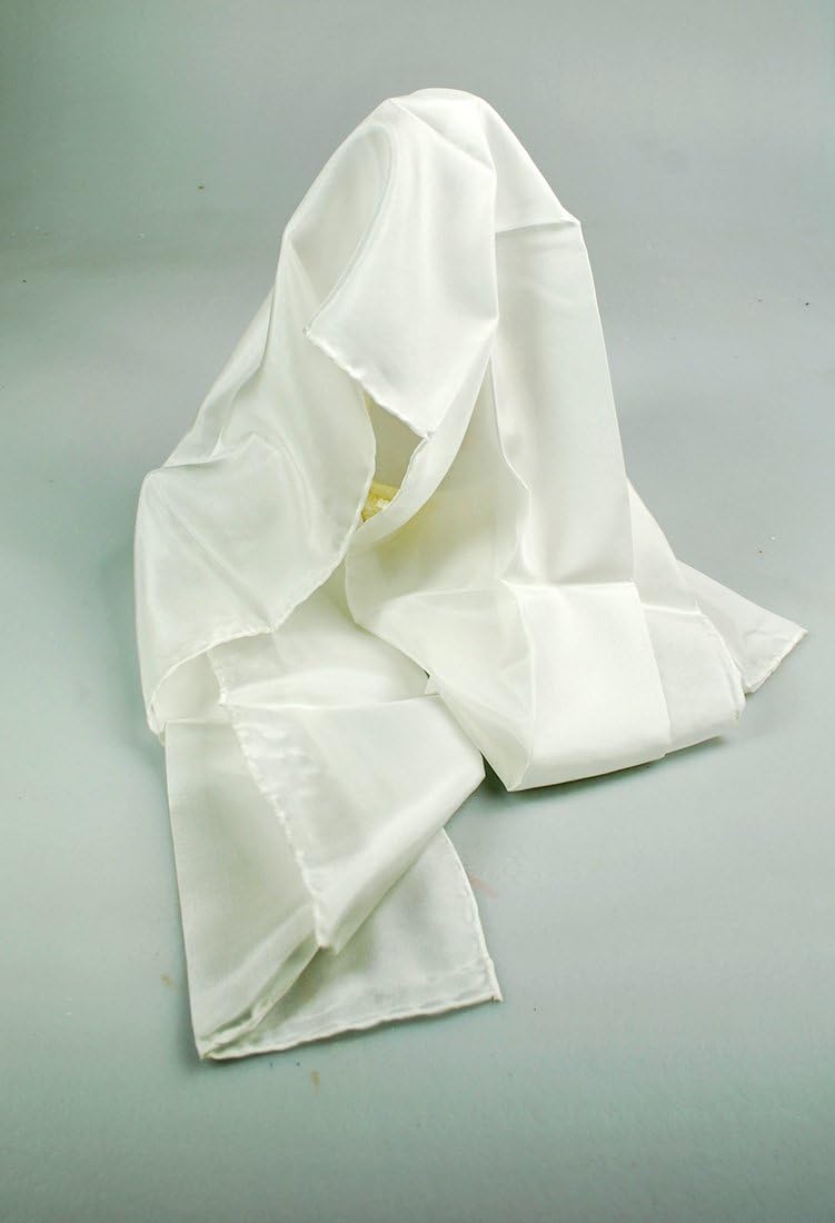 PEBEO 40 x 150 cm Silk Shawl, White & 20 ml Setasilk Silk Painting ...