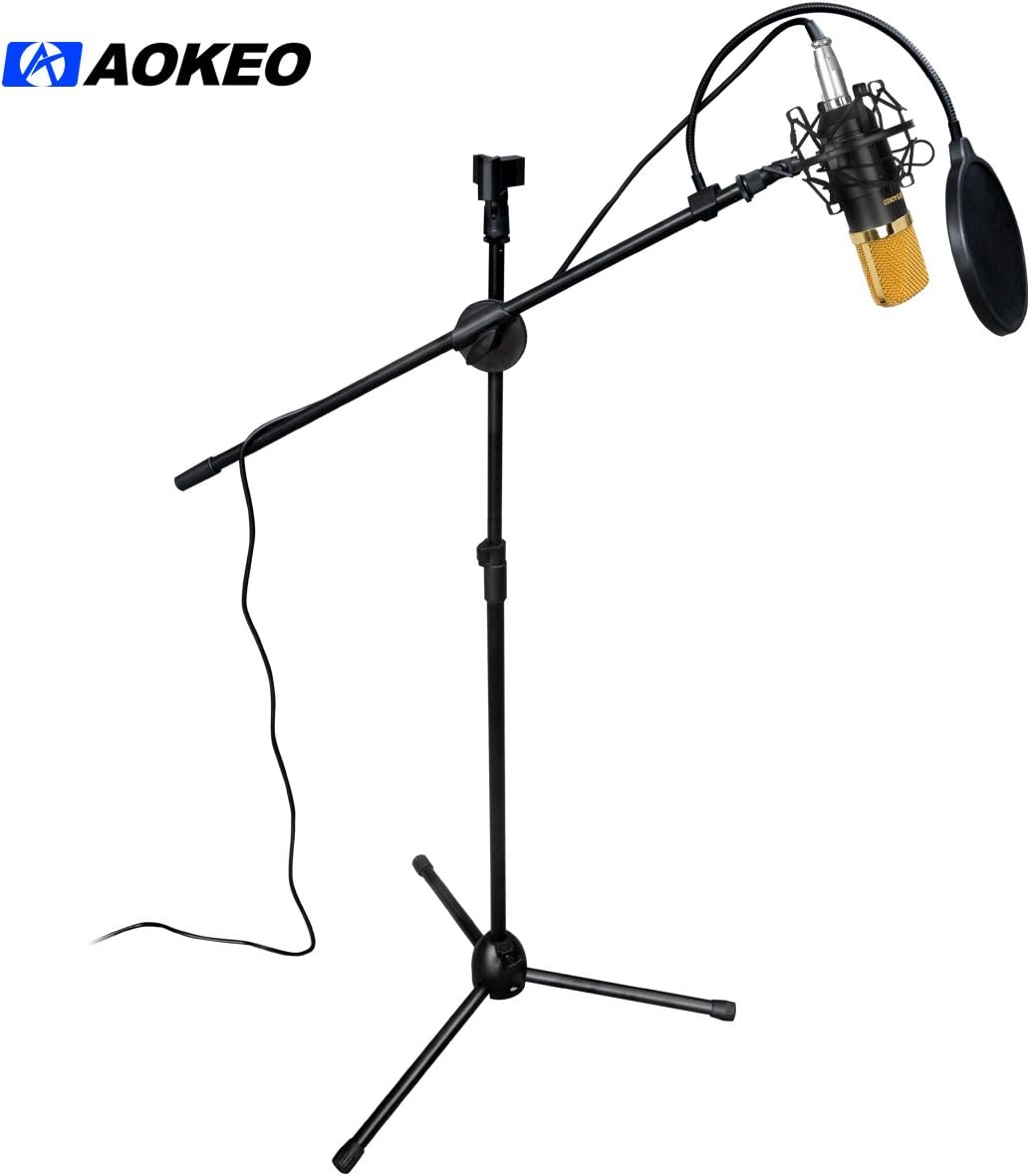 Amazon.com: Aokeo Professional Studio Broadcasting / Recording AK-70 ...