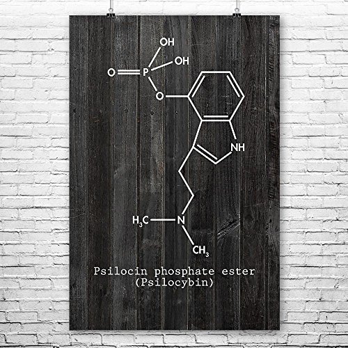 Patent Earth Psilocybin Molecule Poster Science Art Print Psilocybin ...