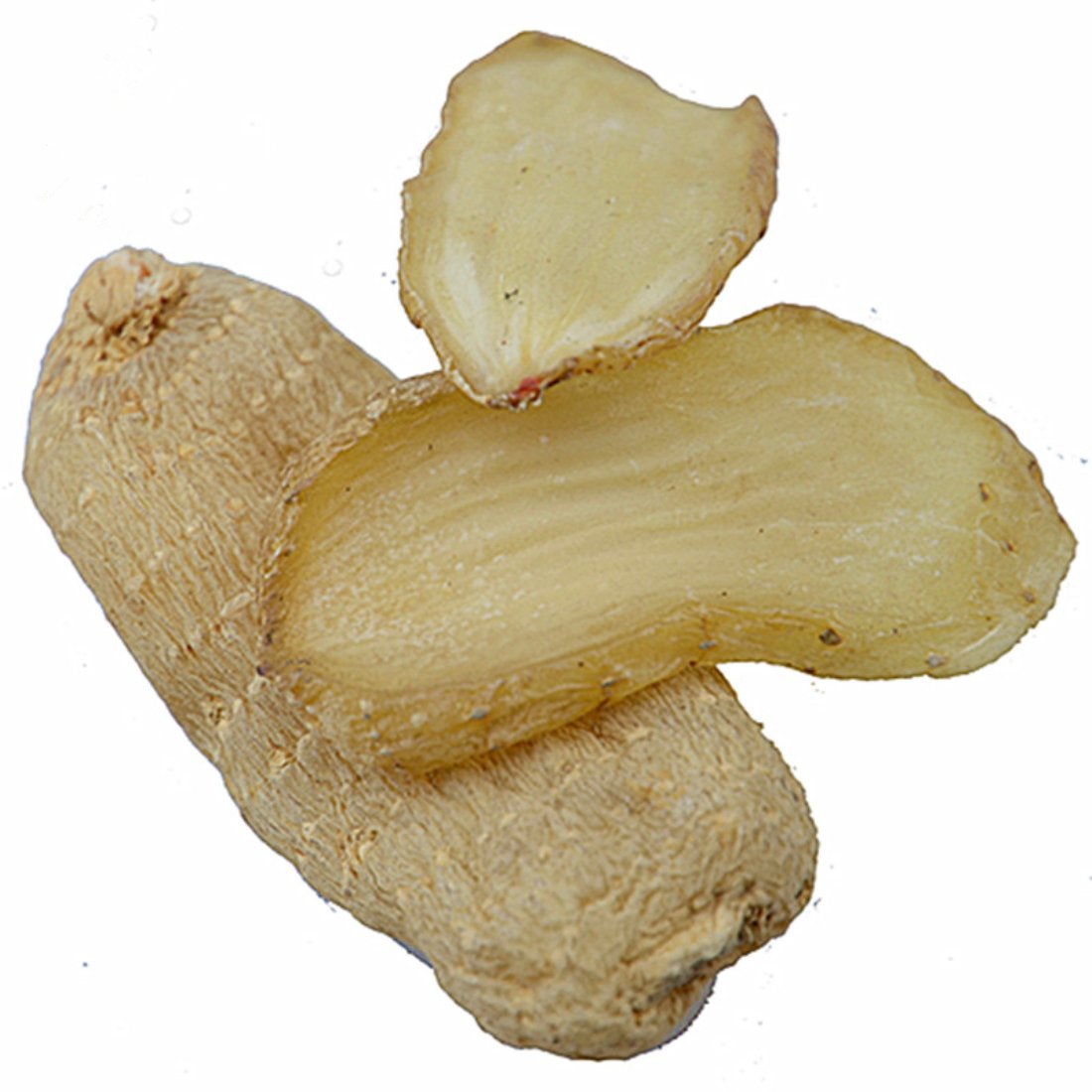 Helen Ou Non Wild Zhao Tong Tian Ma Rhizoma Tianma | Desertcart INDIA