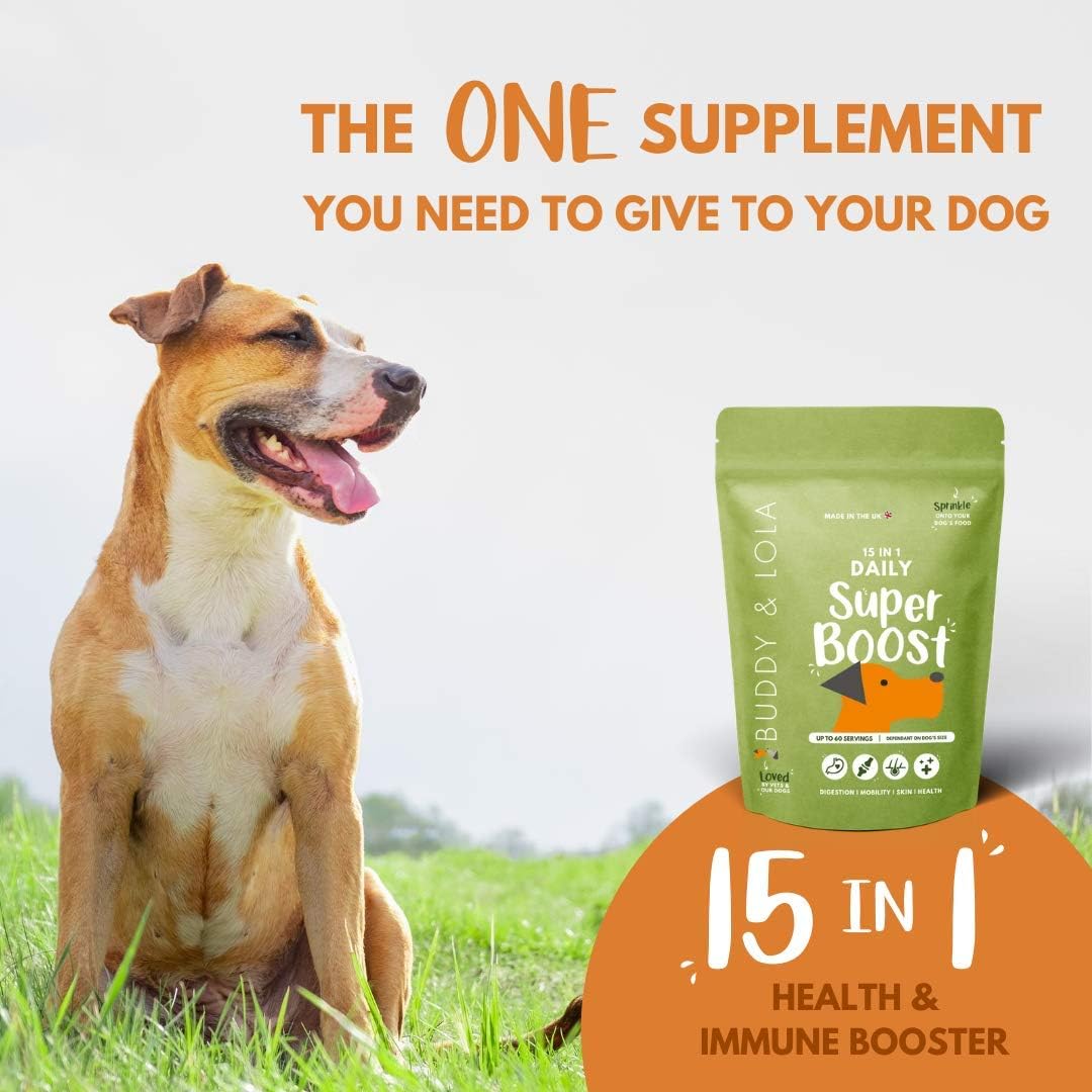 Buddy & Lola Daily SuperBoost – 15-in-1 Complete Dog Multivitamin, Hip ...