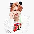 Amazon.com - Stray Kids Felix Cat Ears Sticker Outdoor Rated Vinyl ...