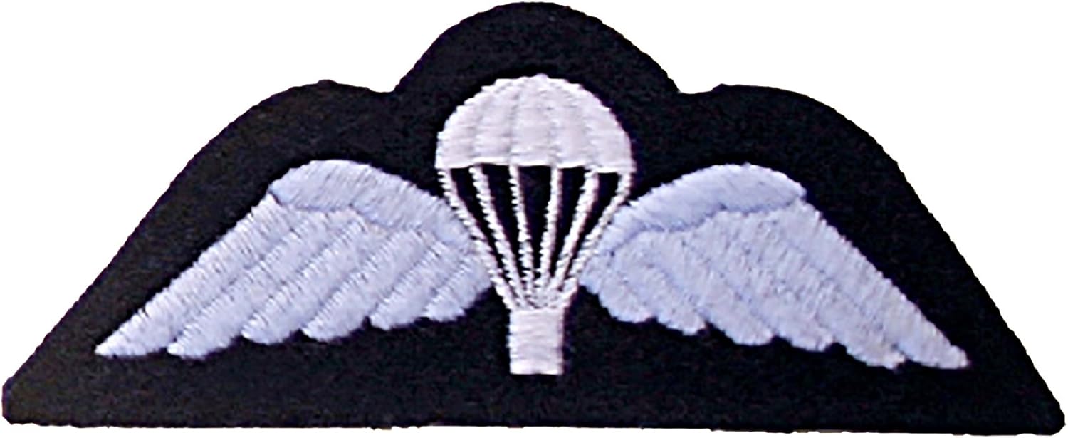CL Distribution RAF Para Wings - Airborne Badge - Royal Air Force ...