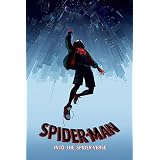 Amazon.com: Spider-Man Into The Spider-Verse Fall Poster Maxi - 91.5 x ...