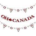 Amazon.com: Big Dot of Happiness - Canada Day - Canadian Party Letter ...