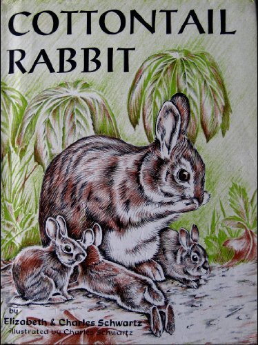 Cottontail Rabbit (Life-cycle stories): Elizabeth Reeder Schwartz ...