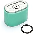 Amazon.com : Briggs and Stratton 797032 Air Filter : Patio, Lawn & Garden