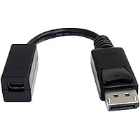 Amazon.com: StarTech.com 6in (15cm) DisplayPort to Mini DisplayPort ...