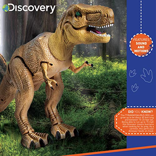 Discovery Kids Remote Control RC T Rex Dinosaur Electronic Toy Action ...