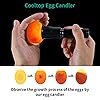 AZXIVIZ Egg Candler, Candling Light Tester for Eggs with High Intensity ...