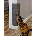 Amazon.com : Cat Scratcher Mat, 24 X 15 Inch Cat Scratch Mats ...