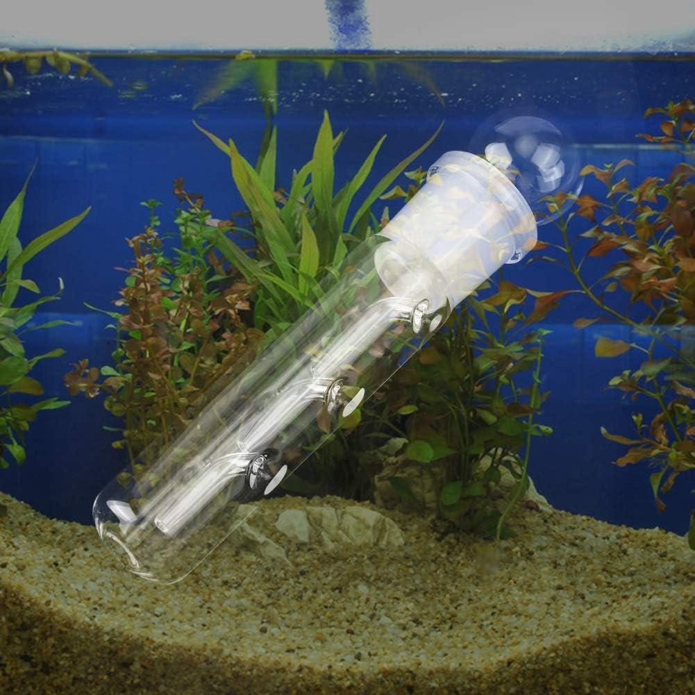 Zerodis Planarian Catch Pen Leech Worm Bait Trap Pest Glass Catch ...