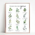 Amazon.com: Self Growth Print Mental Health Wall Decor Mindfulness Art ...