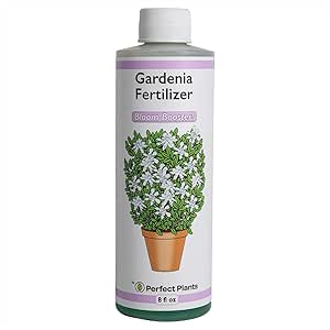 Amazon.com : Perfect Plants Gardenia Liquid Fertilizer | 8oz. Tailored ...