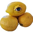 Amazon.com: Dead Head Props Realistic Life Sized Freaky Fruit All ...