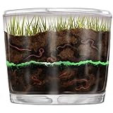 Amazon.com: Nature Gift Store Kids Worm Farm Observation Kit Shipped ...