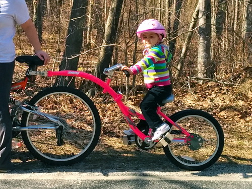 WeeRide Co-Pilot Bike Trailer – CyclingSpares.com