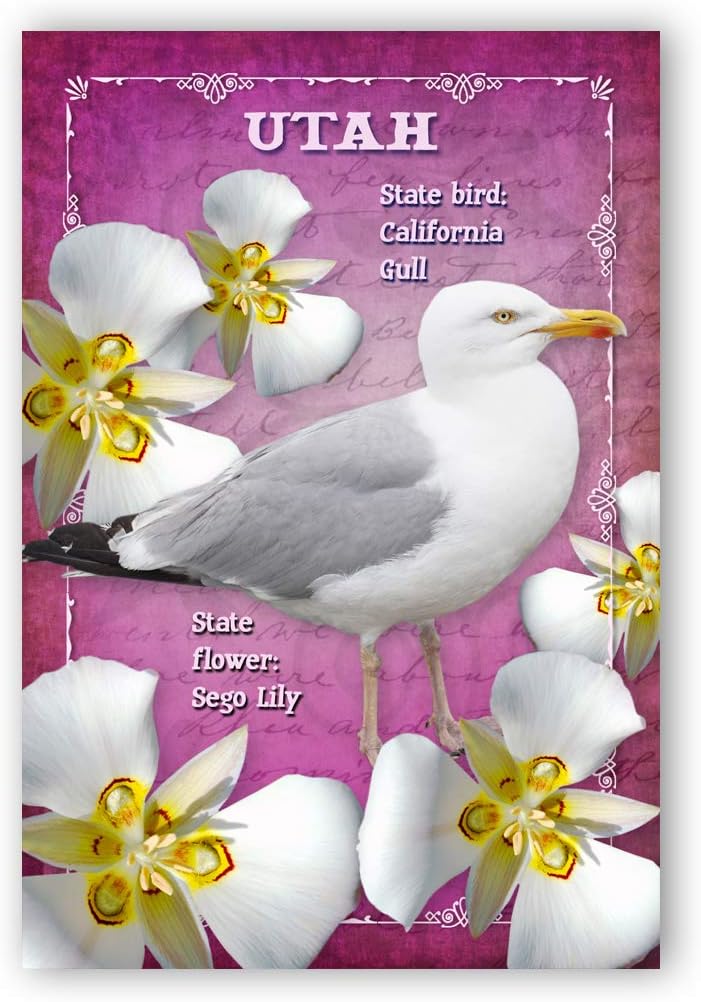 Amazon.com : UTAH BIRD AND FLOWER postcard set of 20 identical ...
