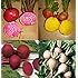 Beetroot Vegetable Seeds, 5 Different Beet Rainbow Mix for Garden ...