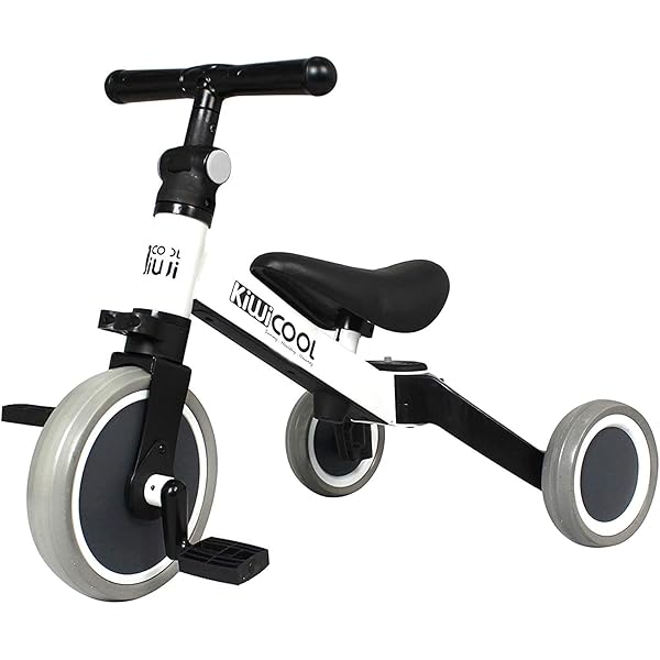 Kiwi Cool Cycle | ppgbbe.intranet.biologia.ufrj.br