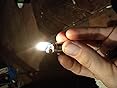 Amazon.com: QIMEI The World's Smallest Kerosene Lighter! Height 2.5cm/φ ...
