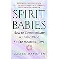 Amazon.com: Spirit Babies: How to Communicate with the Child You're ...