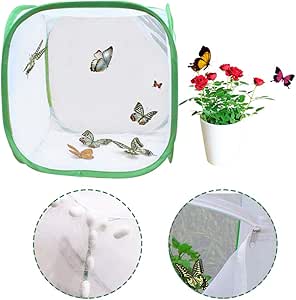 Large Monarch Butterfly Cage, Tall Collapsible Butterfly Insect ...