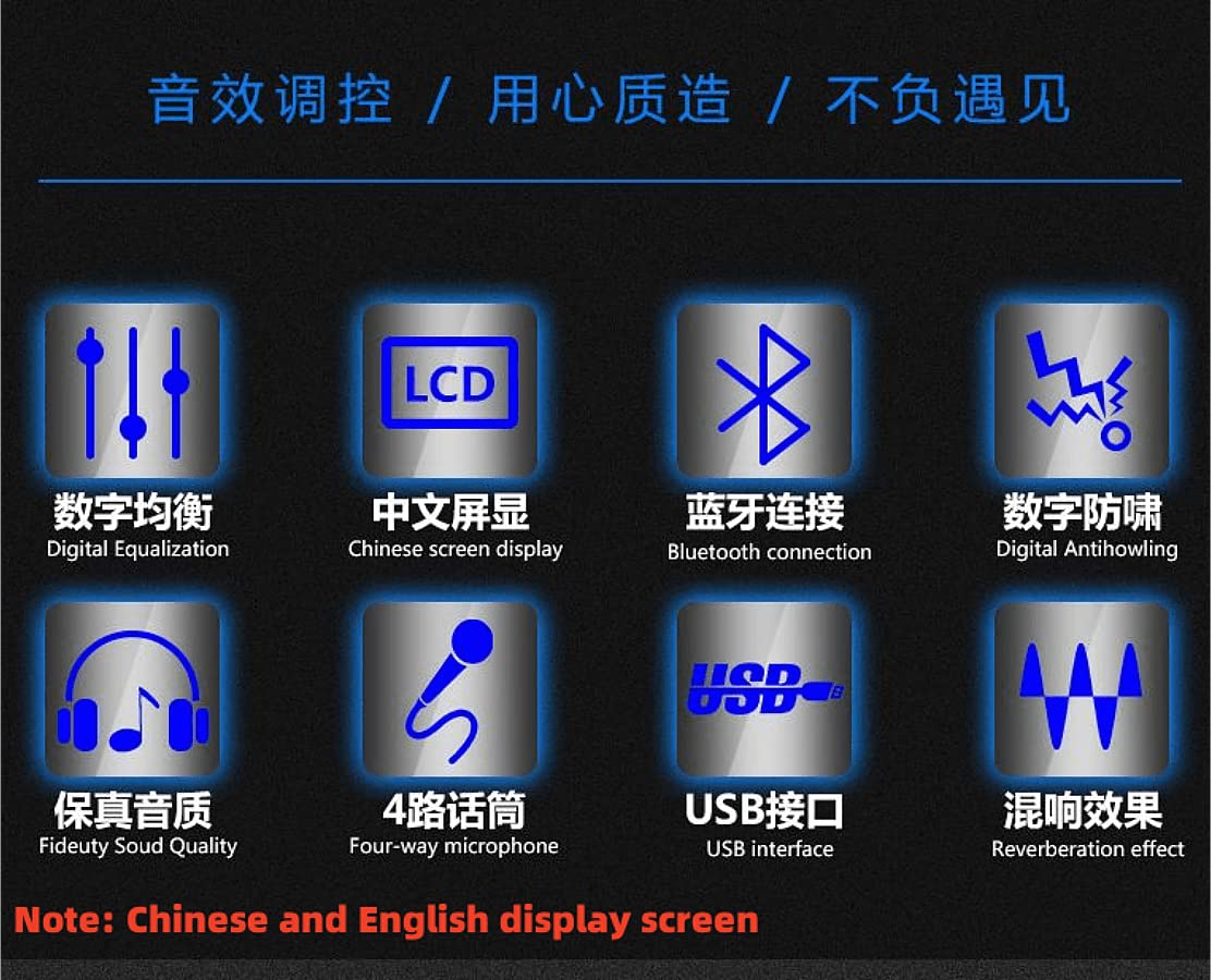 Mua Professional Karaoke Audio Processor, with Equalizer, Exciter ...