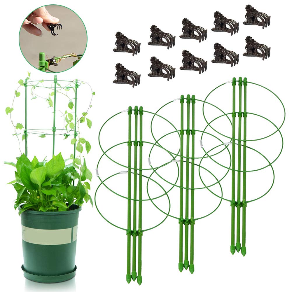Plant Support Cages With 3 Rings Tomato Support Plant Cages ...